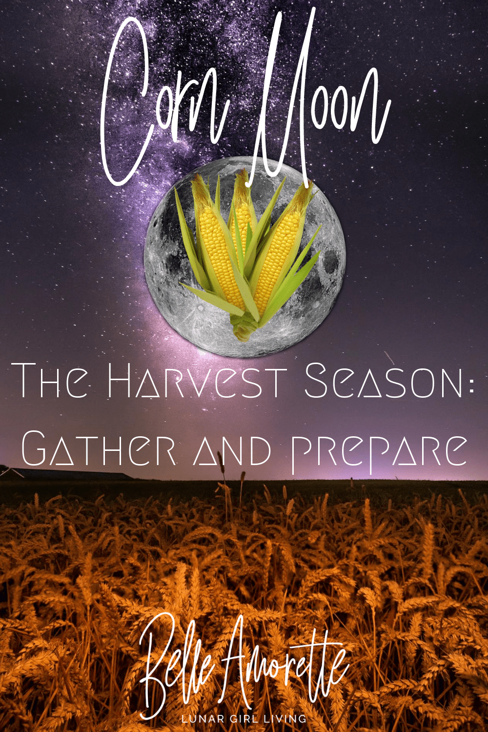 SEPTEMBER HARVEST MOON: The Moon for Abundance & Healing